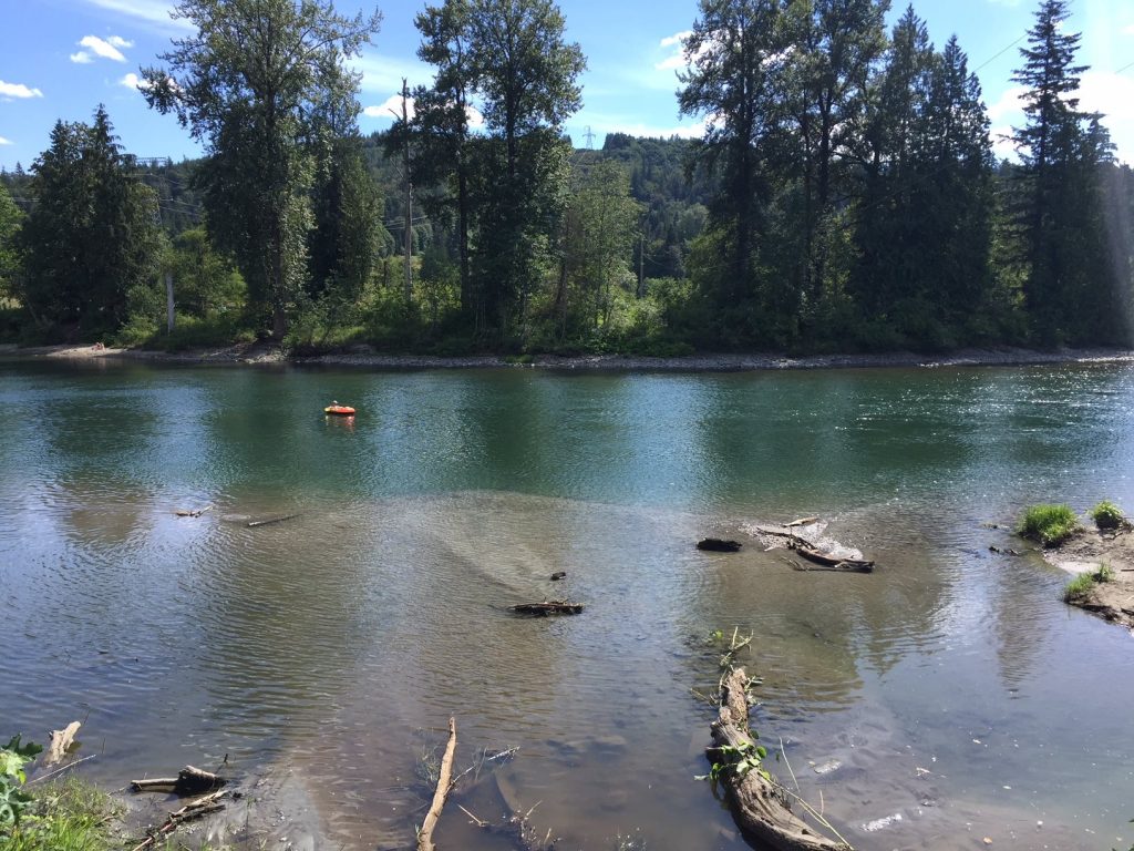 Fall City - Marlene Rouleau