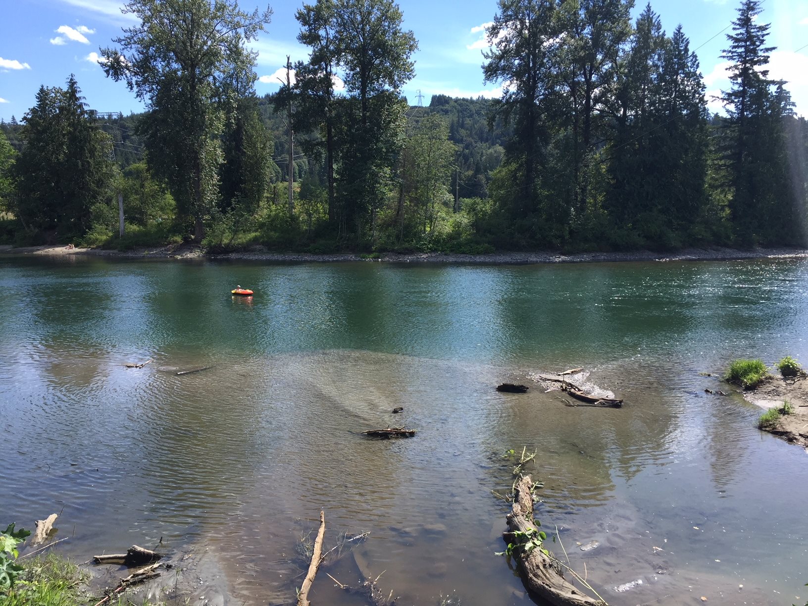 Fall City - Marlene Rouleau